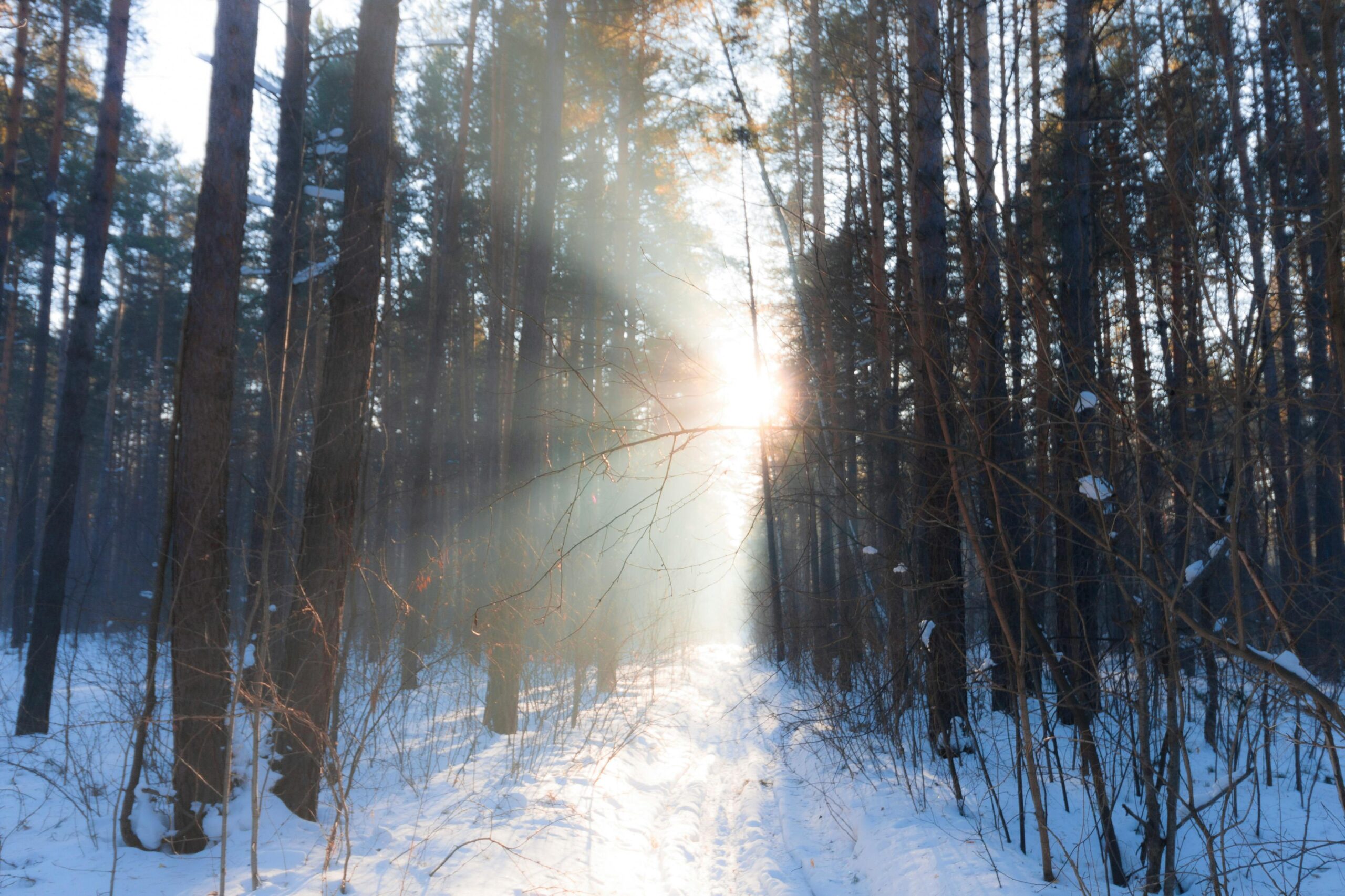 Uncreated Light: Experiencing the Transcendent